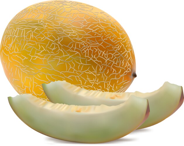 Rock Vector Images (over 290,000)