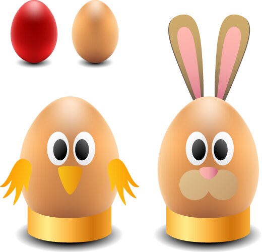 Fresh chicken eggs Royalty Free Vector Image - VectorStock