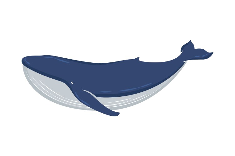 Whale clipart Vector Images & Graphics for Commercial Use | VectorStock