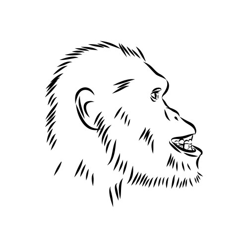Australopithecus sketch graphic Royalty Free Vector Image