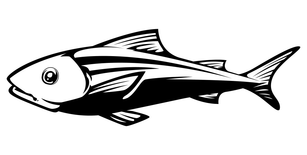 Freshwater Fish Drawing Vector Images (over 2,800)