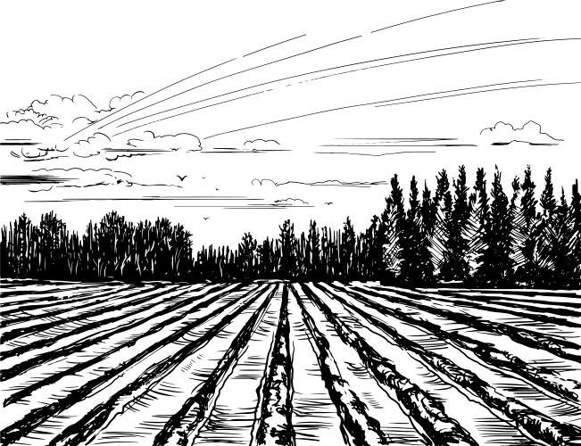 A path to farm landscape hand drawing Royalty Free Vector