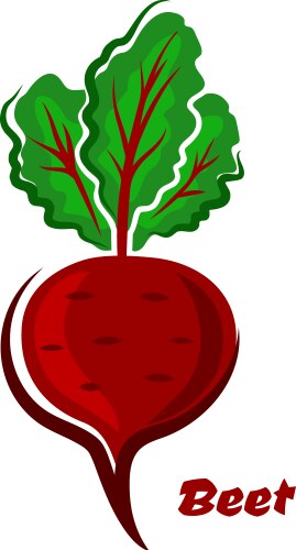 Fresh beetroot cartoon Royalty Free Vector Image