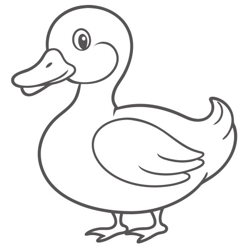 Cute baby duck outline drawing Royalty Free Vector Image