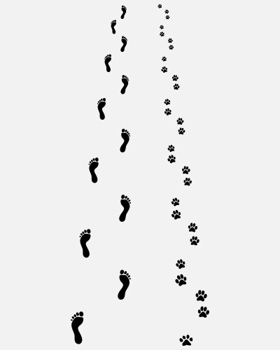 Cartoon Feet Vector Images (over 7,900)