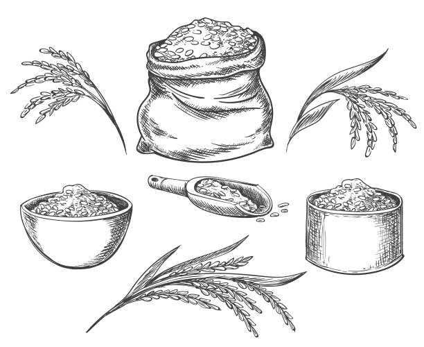 Rice Cartoon Vector Images (over 18,000)