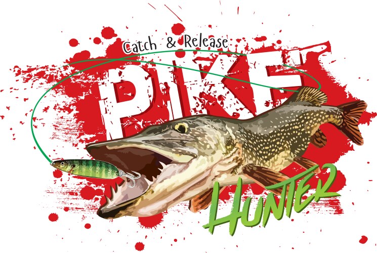 Free Pike Vector Images (62)