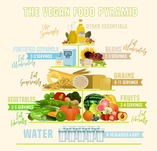 Vegan Food Pyramid Chart Royalty Free Vector Image