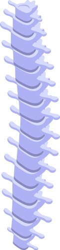 Human spine showing vertebrae forming spinal Vector Image