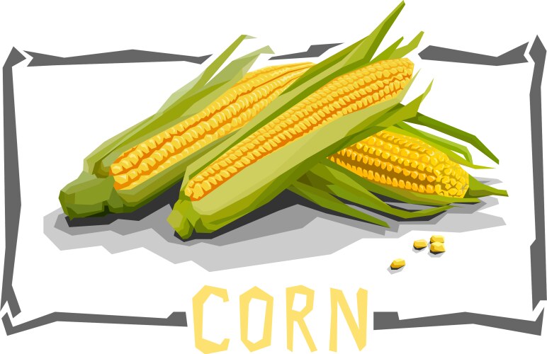 Stylized Corn Vector Images (over 280)