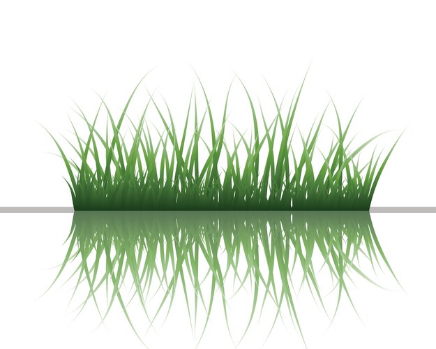 Grass on water Royalty Free Vector Image - VectorStock