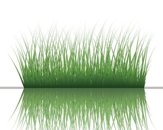 Grass on water Royalty Free Vector Image - VectorStock