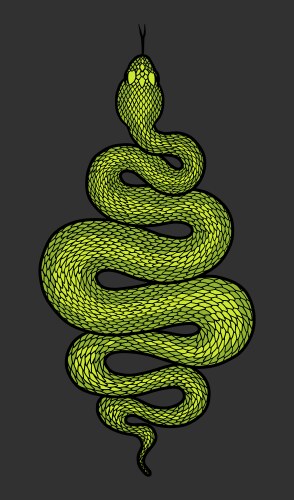 Coiled Snake Logo Jake The Snake Roberts Coiled Graphic Mens Back