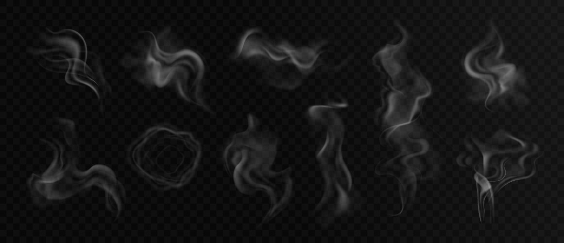 Realistic smoke steam collection transparent Vector Image