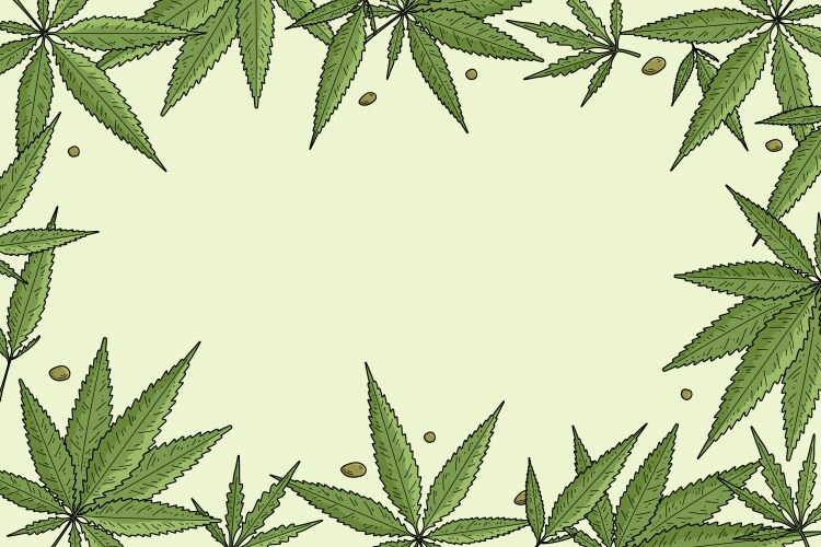 Botanical cannabis leaf background Royalty Free Vector Image