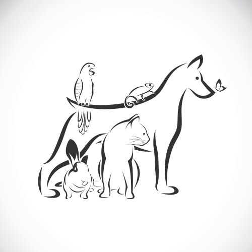 Pets Royalty Free Vector Image - VectorStock