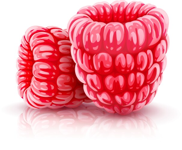 Fresh raspberry cartoon Royalty Free Vector Image