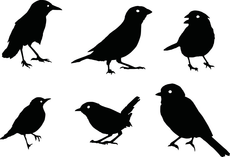 Birds Vector Images (over 630,000)