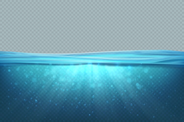 Transparent underwater blue ocean banner Vector Image