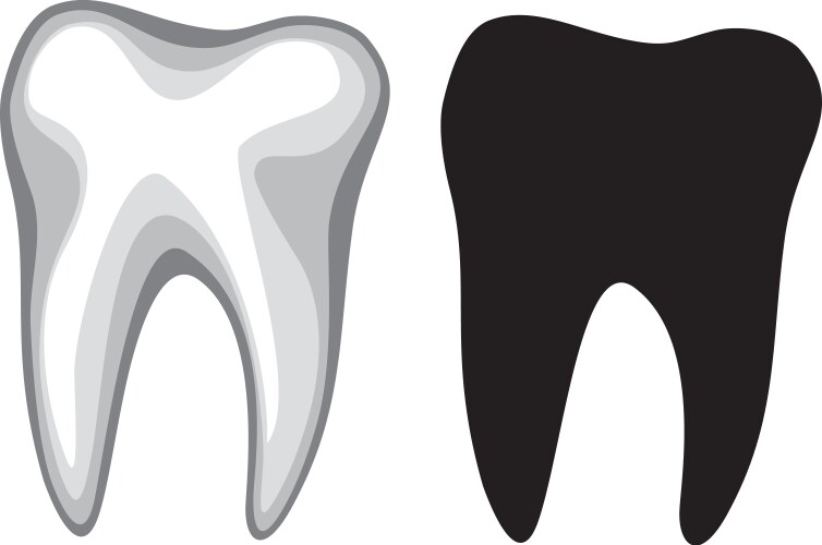 Tooth Vector Images (over 130,000)