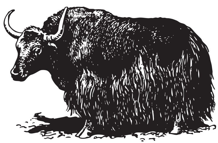 Yak Vector Images (over 2,400)