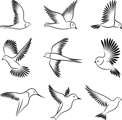 Birds Vector Images (over 550,000)