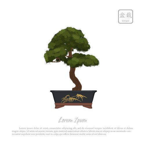Bonsai tree icon set Royalty Free Vector Image