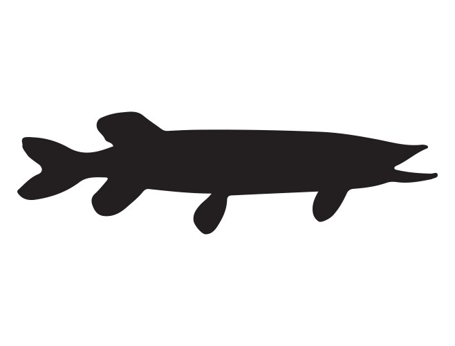 Muskie Vector Images (over 150)