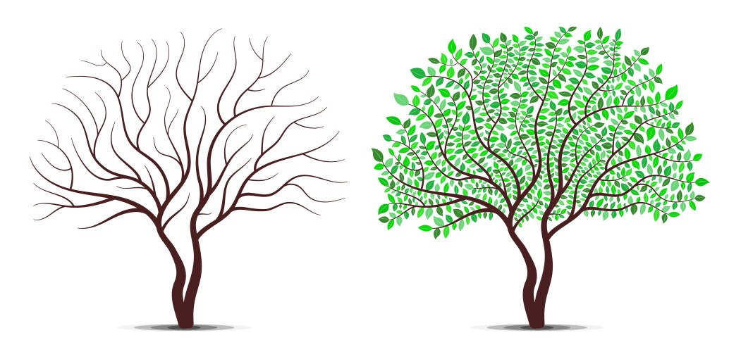 Tree Without Leaves Leaf Vector Images (over 180)