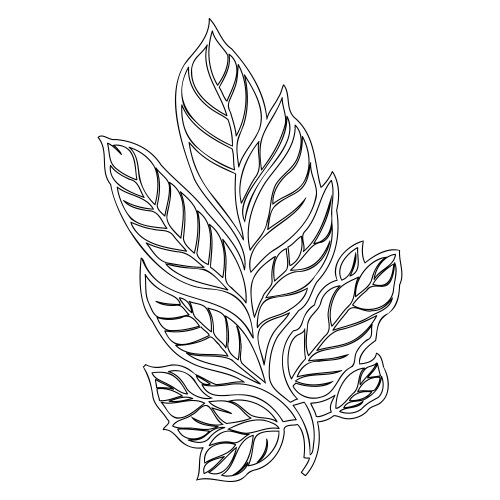 Lilac leaf floral outline sketch Royalty Free Vector Image