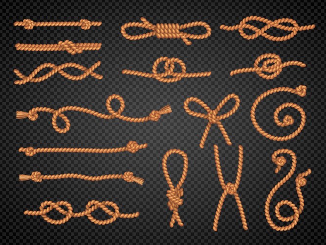 Rope pieces curved marine with knot Royalty Free Vector