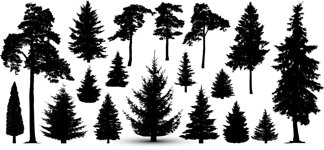 Pine Tree Outline Vector Images (over 16,000)