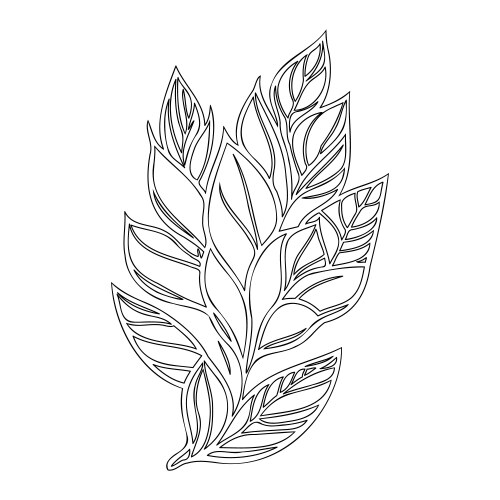 Lilac leaf floral outline sketch Royalty Free Vector Image