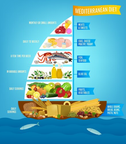 Healthy Low Carb Diet Poster – Royalty-Free Vector | VectorStock