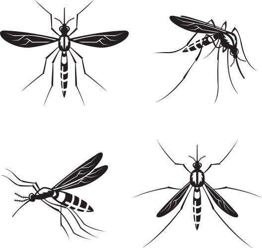 Death mosquito cartoon Royalty Free Vector Image