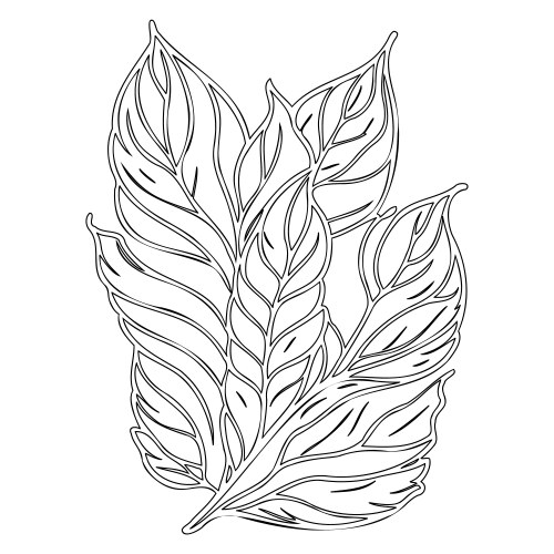 Lilac leaf floral outline sketch Royalty Free Vector Image