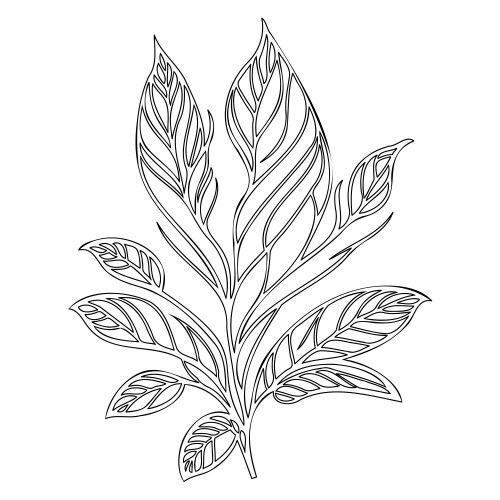 Lilac leaf floral outline sketch Royalty Free Vector Image