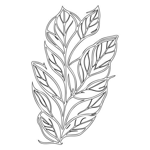 Lilac leaf floral outline sketch Royalty Free Vector Image