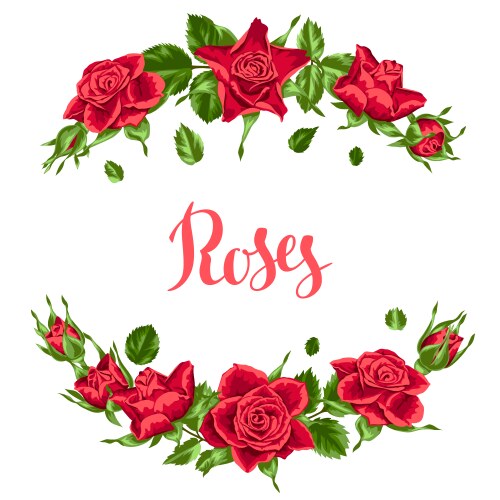 Roses frame Royalty Free Vector Image - VectorStock
