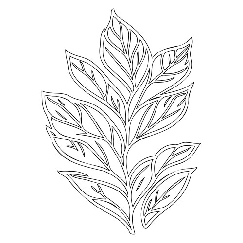Lilac leaf floral outline sketch Royalty Free Vector Image