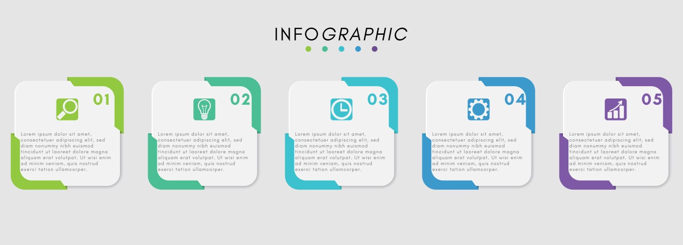 Business infographic with icons and 5 options Vector Image