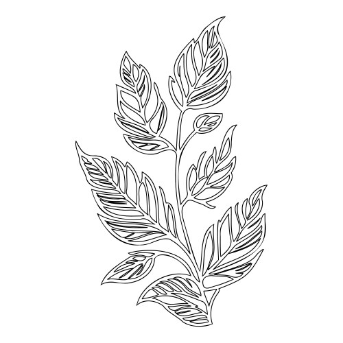 Lilac leaf floral outline sketch Royalty Free Vector Image