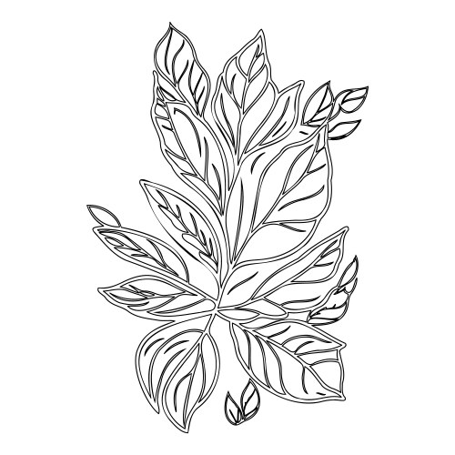 Lilac leaf floral outline sketch Royalty Free Vector Image