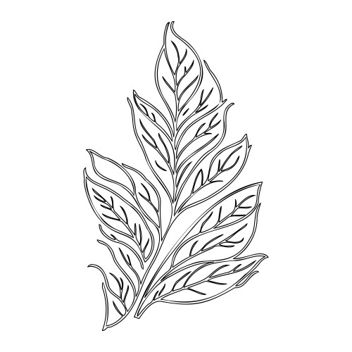 Lilac leaf floral outline sketch Royalty Free Vector Image