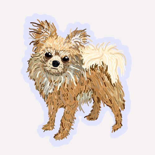 Isolated of labradoodle Royalty Free Vector Image