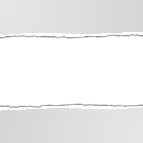 White rectangular torn paper tear Royalty Free Vector Image