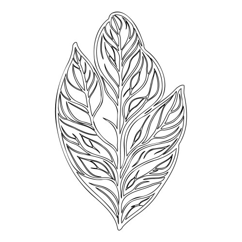 Lilac leaf floral outline sketch Royalty Free Vector Image