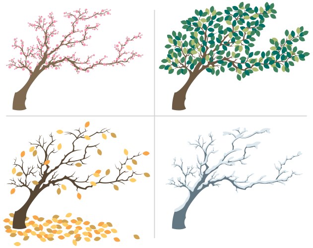 Four seasons of tree and landscape Royalty Free Vector Image