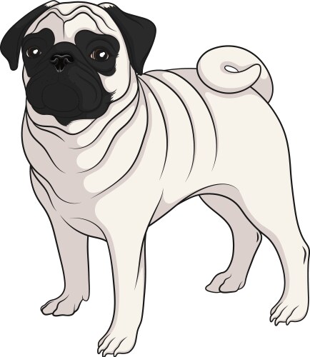 Pug Vector Images (over 12,000)