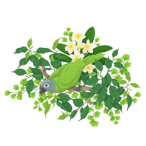 A tree and birds Royalty Free Vector Image - VectorStock